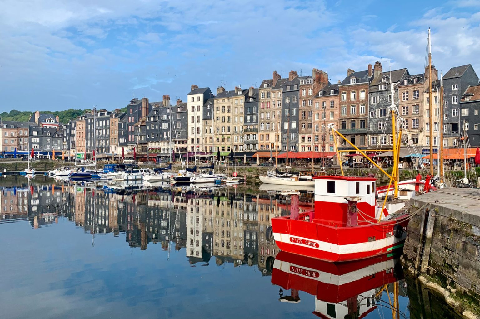 Accueil - Le Nid de Merle